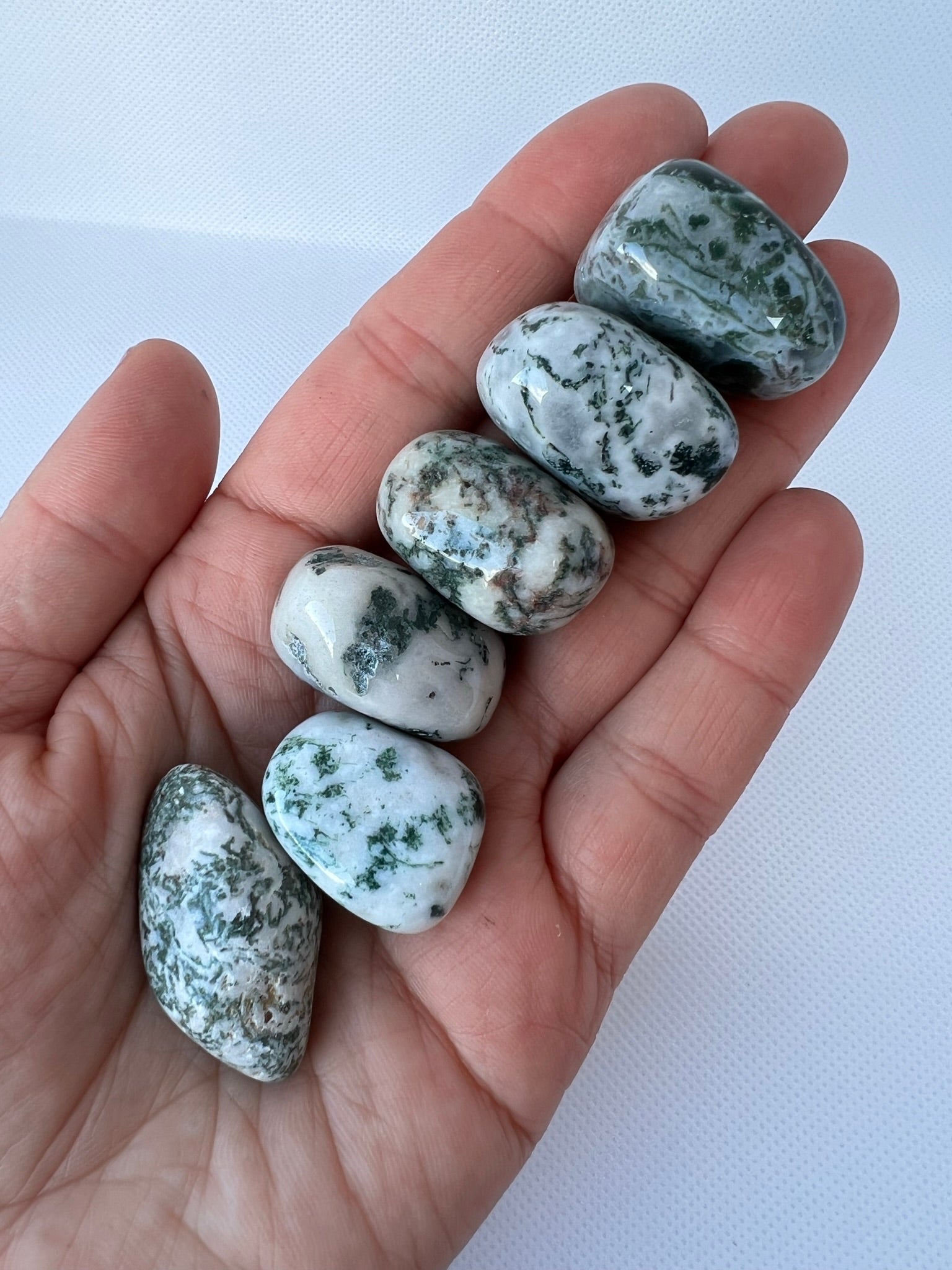 Tree Agate Tumbled Stone – The Dream Merchants
